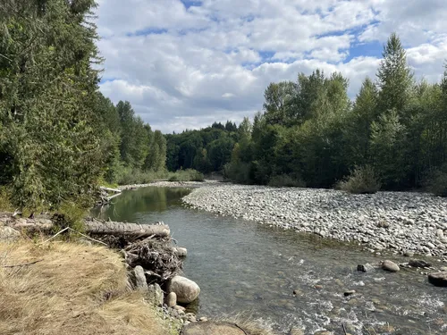 Best Hikes and Trails in Englishman River Regional Park | AllTrails