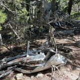 Bunce School Road, Colorado - 151 Reviews, Map | AllTrails