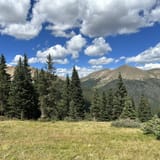 Butler Gulch Trail, Colorado - 2,485 Reviews, Map | AllTrails