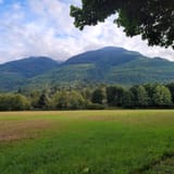 Rasar State Park Loop, Washington - 135 Reviews, Map | AllTrails