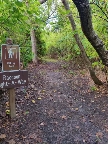 Best Hikes and Trails in Bayou Segnette State Park | AllTrails