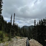 Thorp Lake via Thorp Creek Trail, Washington - 136 Reviews, Map | AllTrails