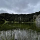 Thorp Lake via Thorp Creek Trail, Washington - 173 Reviews, Map | AllTrails