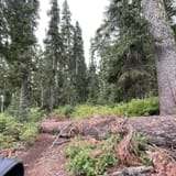 Thorp Lake via Thorp Creek Trail, Washington - 173 Reviews, Map | AllTrails