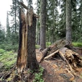 Thorp Lake via Thorp Creek Trail, Washington - 173 Reviews, Map | AllTrails