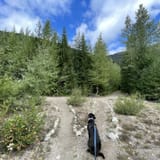 Thorp Lake via Thorp Creek Trail, Washington - 173 Reviews, Map | AllTrails