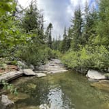 Thorp Lake via Thorp Creek Trail, Washington - 136 Reviews, Map | AllTrails