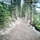 Silver Lake Loop Trail, Utah - 1,503 Reviews, Map | AllTrails