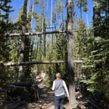 Storm Point Loop, Montana - 915 Reviews, Map | AllTrails