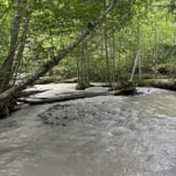 Skookum Flats Trail, Washington - 844 Reviews, Map | AllTrails