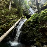 Murhut Falls Trail, Washington - 852 Reviews, Map | AllTrails