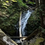 Murhut Falls Trail, Washington - 852 Reviews, Map | AllTrails