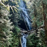 Murhut Falls Trail, Washington - 852 Reviews, Map | AllTrails