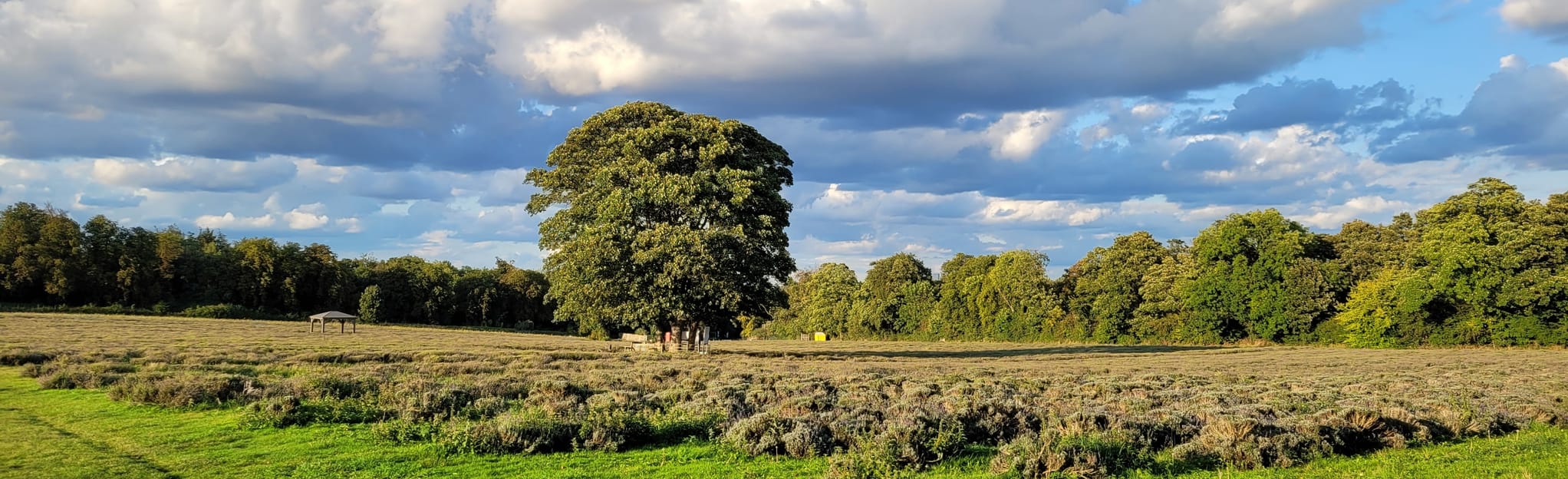 London Loop: Section 6 - Coulsdon South to Banstead Downs: 106 foto ...