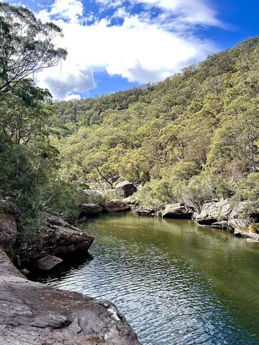 10 Best Hikes and Trails in Dharawal National Park | AllTrails