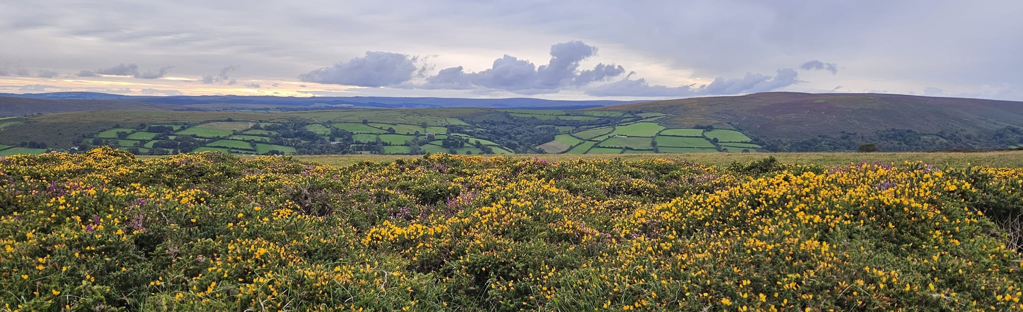 Bell Tor, Widecombe in the Moor, Pil Tor, and Top Tor Circular: 82 ...