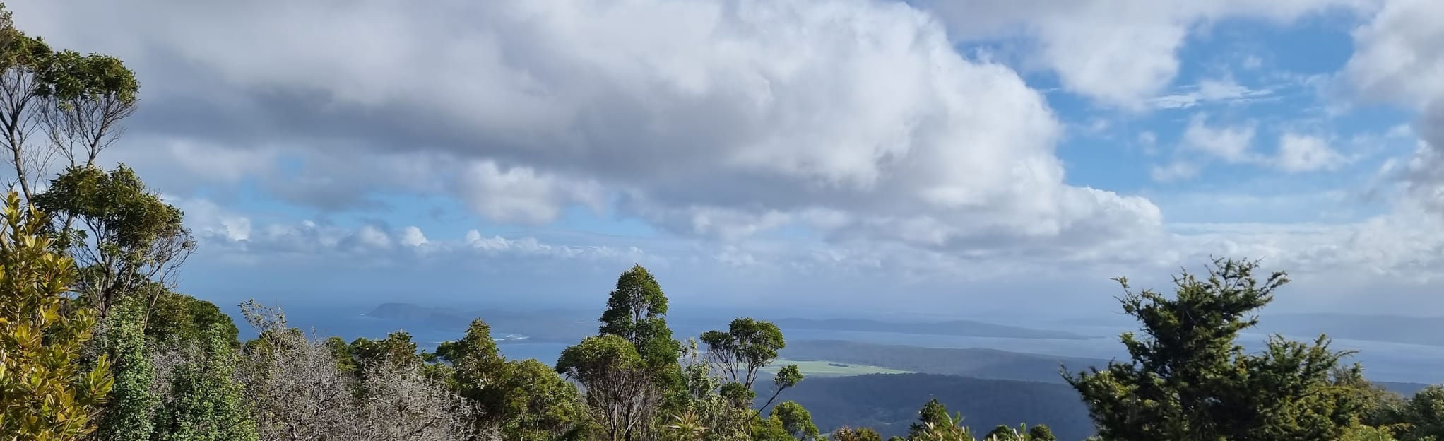 Mount Mangana Track: 50 Reviews, Map - Tasmania, Australia | AllTrails