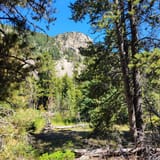 Silver Run Loop Trail, Montana - 546 Reviews, Map | AllTrails
