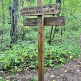 Appalachian Approach Trail to Springer Mountain, Georgia - 1,035 ...