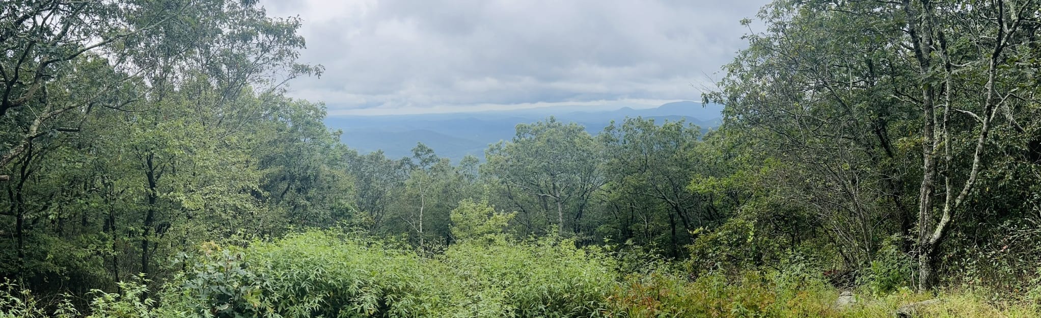 Appalachian Approach Trail to Springer Mountain: 994 Reviews, Map ...