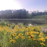 Heath Lake Loop, Georgia - 413 Reviews, Map | AllTrails