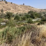 Link River Trail, Oregon - 480 Reviews, Map | AllTrails