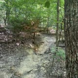 Iron Ore Hill Loop Trail, Kentucky - 431 Reviews, Map | AllTrails