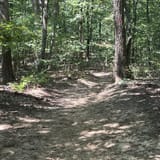 Iron Ore Hill Loop Trail, Kentucky - 431 Reviews, Map | AllTrails