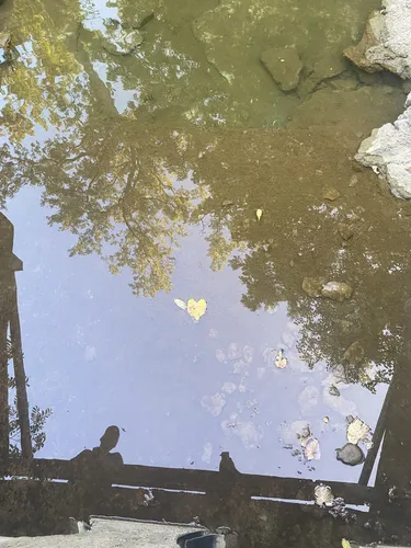 Best Hikes and Trails in Symmes Township Park | AllTrails