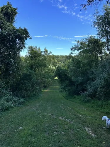 Best Hikes and Trails in Codorus State Park | AllTrails