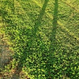 Long Run Park, Kentucky - 41 Reviews, Map | AllTrails