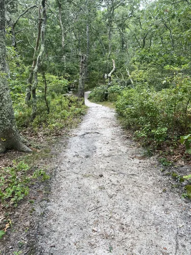 Best Hikes and Trails in Thompson Field | AllTrails