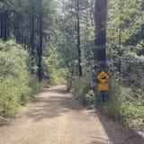 Mars Hill Trail, Arizona - 1,144 Reviews, Map | AllTrails