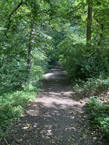 Best Hikes and Trails in Tregaron Estate | AllTrails