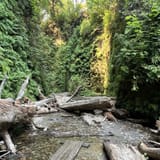 Miner's Ridge Trail, Clintonia Trail, and Gold Bluffs Beach Loop ...