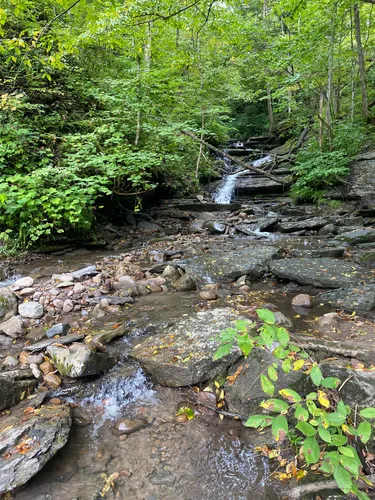 Best Hikes and Trails in Pixley Falls State Park | AllTrails