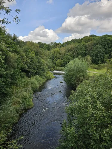 10 Best Trails, Walks, and Paths in Newcastle upon Tyne | AllTrails