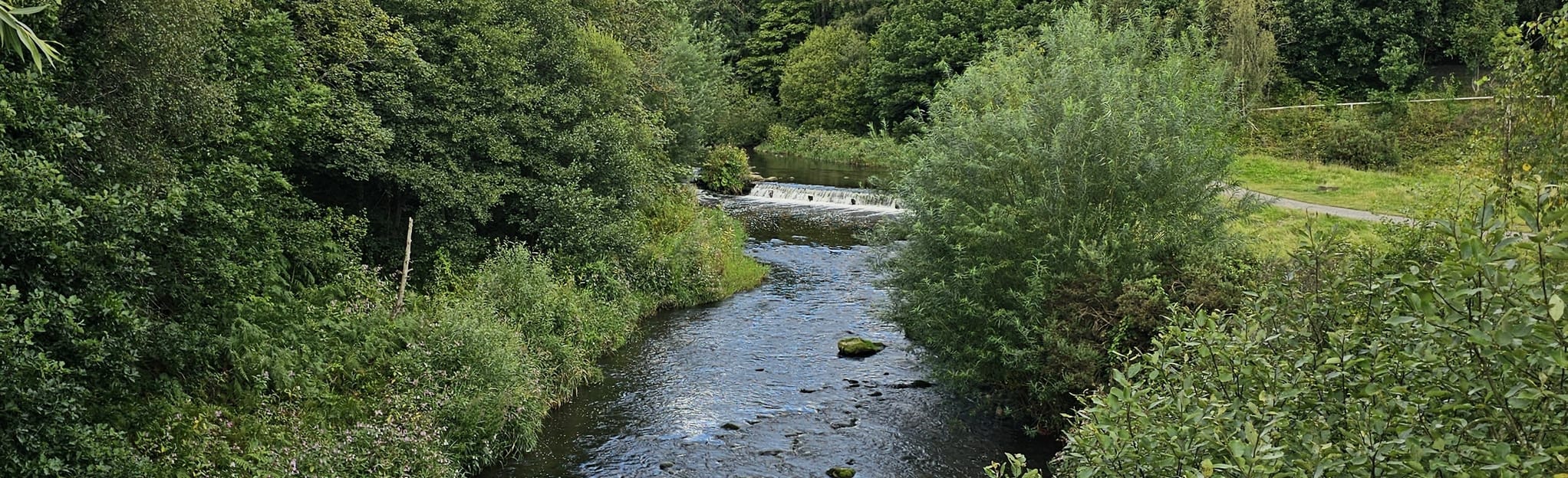 Derwent Walk Circular: 274 Reviews, Map - Tyne and Wear, England ...