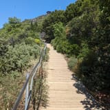 Verna Dunshee Trail and Plank Trail at Mount Tam East Peak, California ...