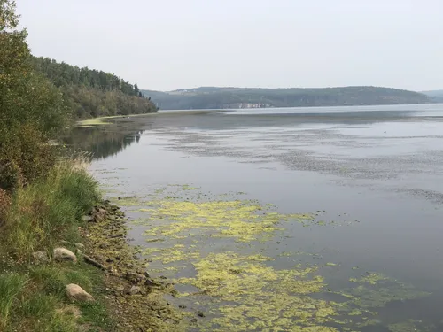 Best Hikes and Trails in Charlie Lake Provincial Park | AllTrails