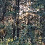 Saunders Springs Nature Preserve Loop, Kentucky - 400 Reviews, Map ...