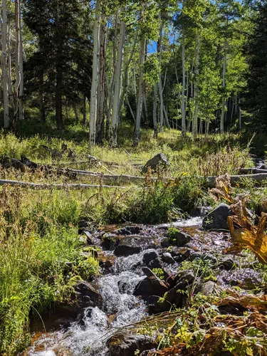 Best Hikes and Trails in High Schells Wilderness | AllTrails