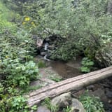 Beaver Brook Trail, Colorado - 1,249 Reviews, Map | AllTrails