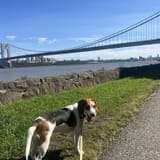 Allison Park Loop, New Jersey - 954 Reviews, Map | AllTrails