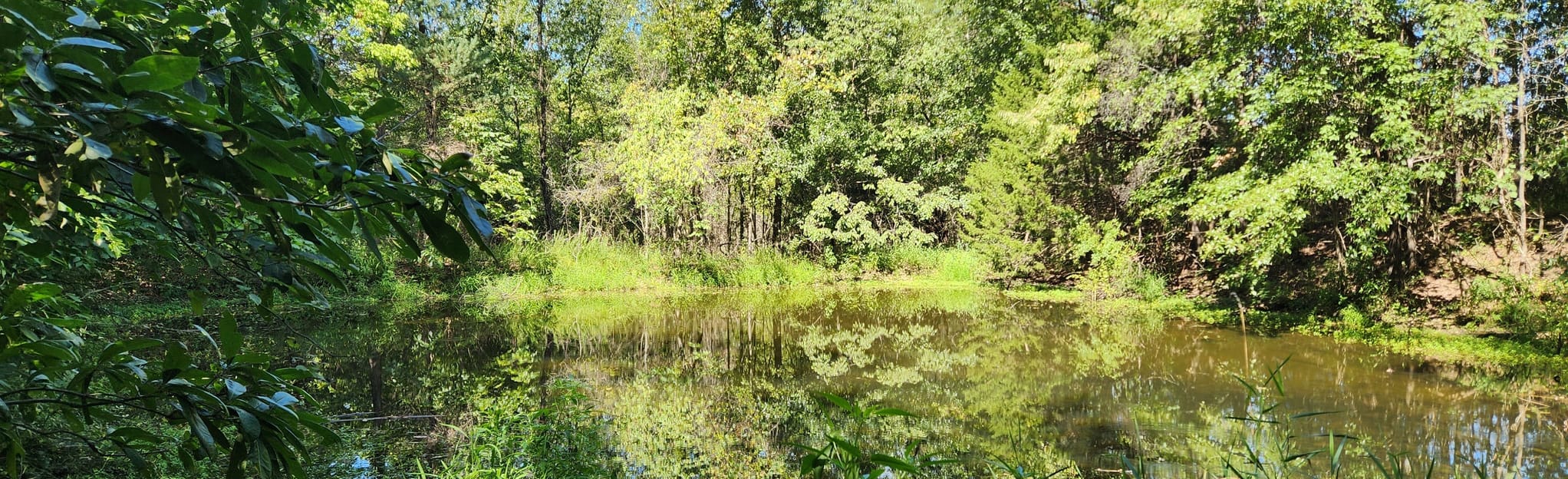 Busch Wildlife Pine Trail: 83 Reviews, Map - Missouri | AllTrails