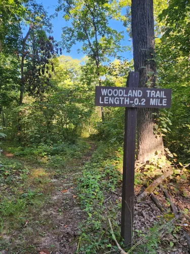 10 Best Trails and Hikes in Lake St. Louis | AllTrails