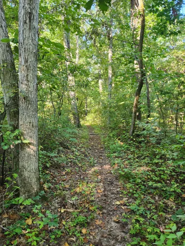 10 Best Trails and Hikes in Lake St. Louis | AllTrails