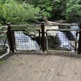 Viaduct Park, Ohio - 487 Reviews, Map | AllTrails