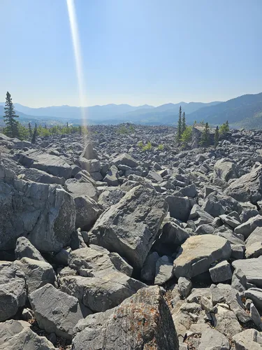 Frank Slide Interpretive Center: de beste routes om te wandelen | AllTrails