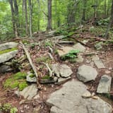 Pinnacle Overlook Trail, Kentucky - 181 Reviews, Map | AllTrails